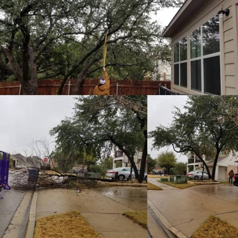 Perfection Landscape - Services